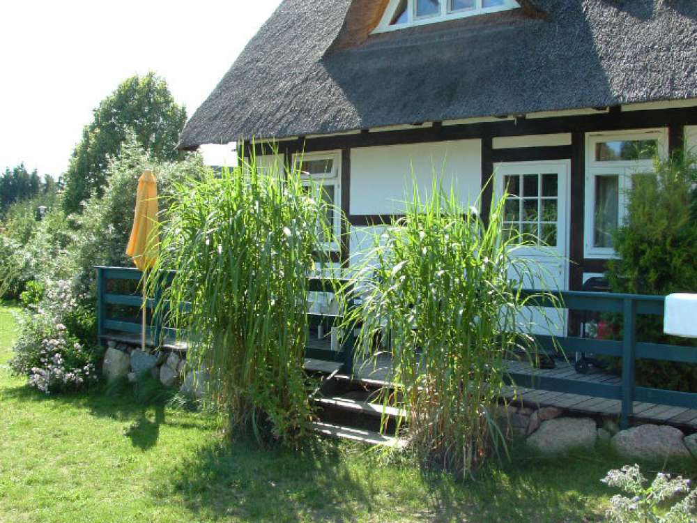 Ferienwohnung Auf Usedom Von Privat